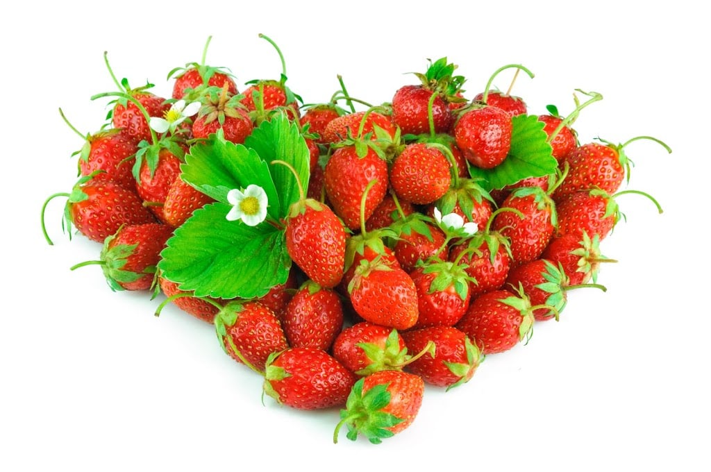 Strawberry Jam Session | Sloat Garden Center