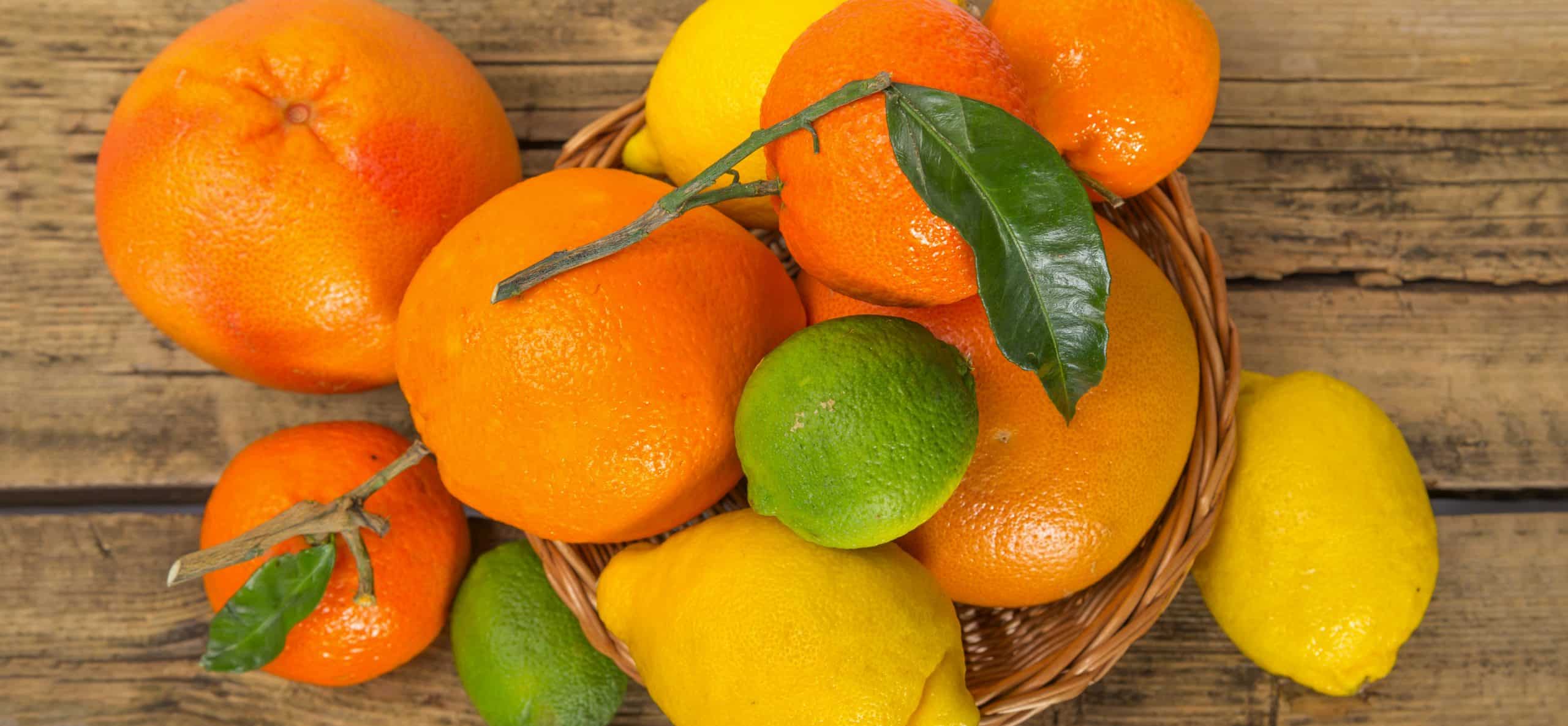 Winter Citrus Care | Sloat Garden Center