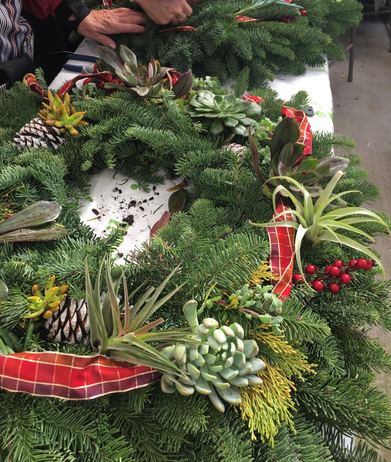 Sloat Blvd SF Make & Take Workshop: Create a Succulent Wreath | Sloat ...