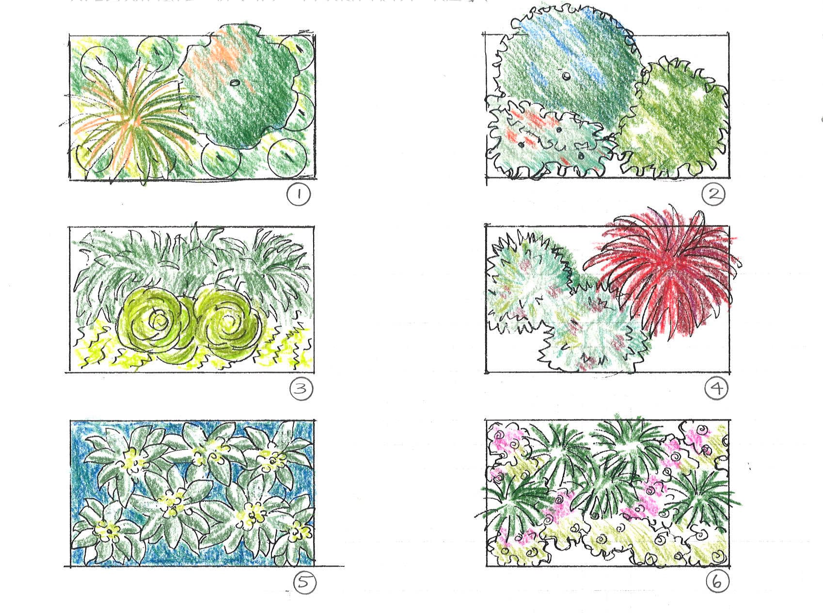 Webinar: Firewise Landscaping | Sloat Garden Center