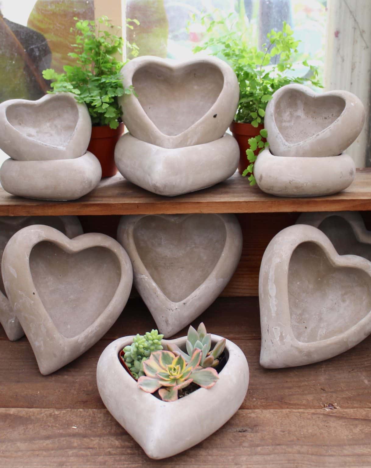 In-Store Pleasant Hill Workshop: Date Night! Make a Valentine’s Planter ...