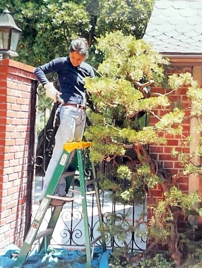 An Interview with Master Pruner Elizabeth Ruiz | Sloat Garden Center