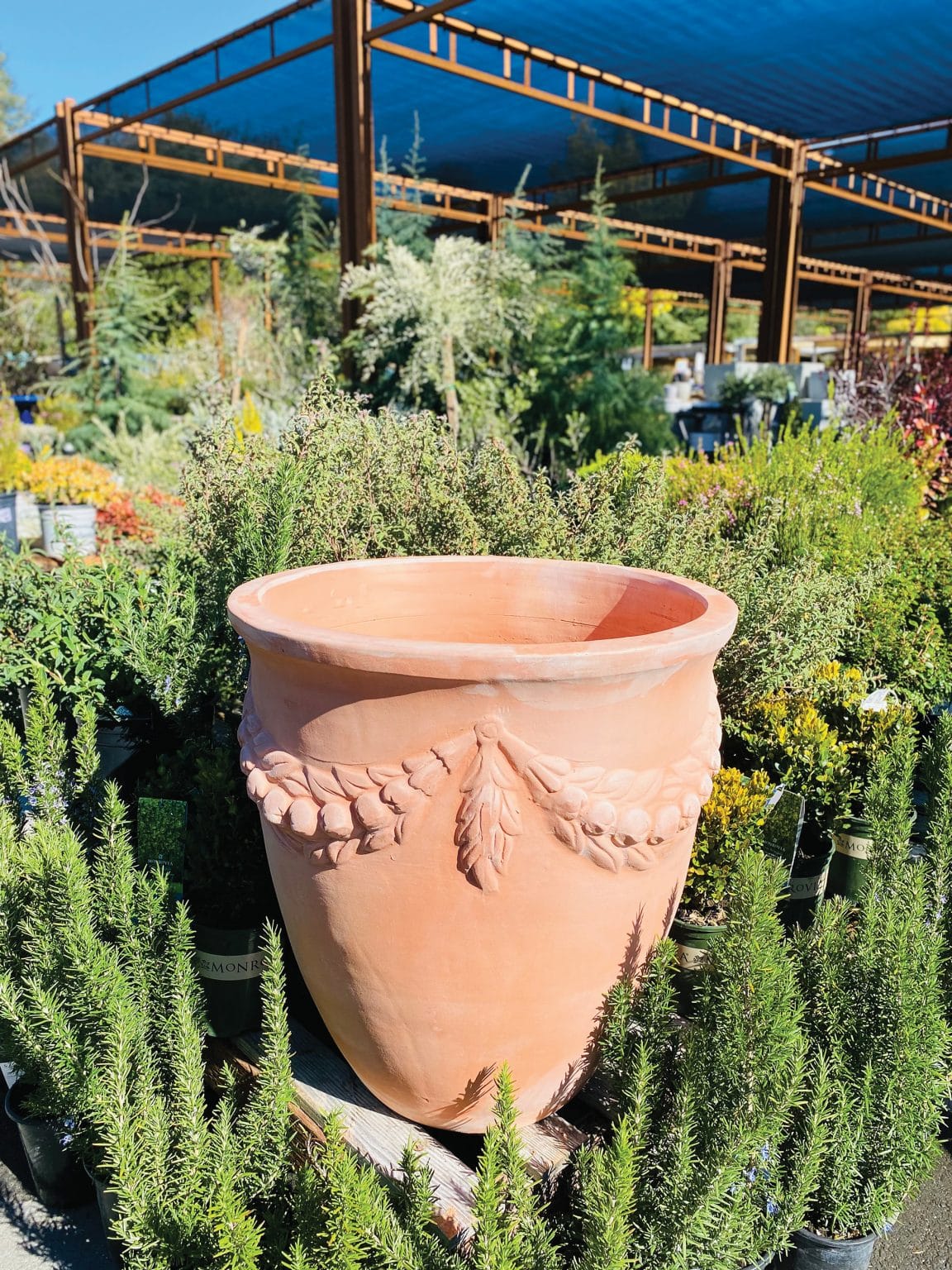 Make a Statement with Extra-Large Pottery | Sloat Garden Center