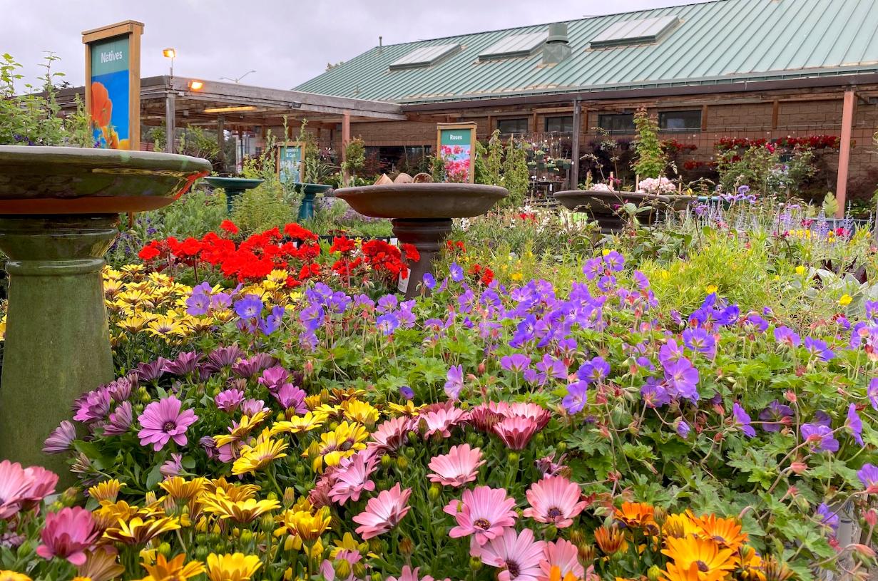 San Francisco – Sloat Boulevard | Sloat Garden Center