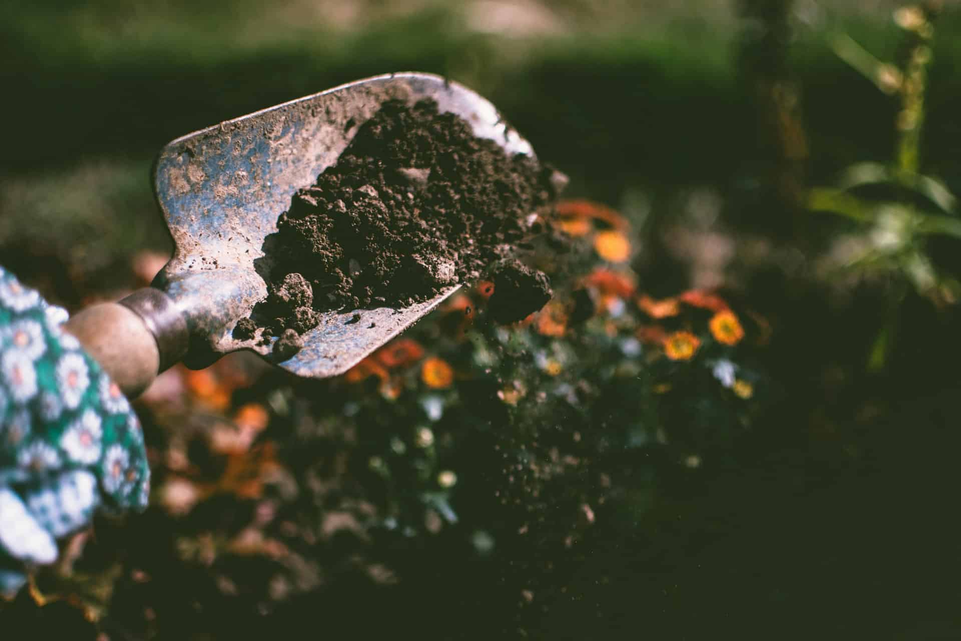 Blended, Bagged Soils for Sale | Sloat Garden Center