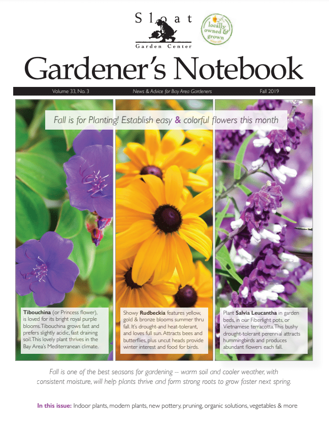 Gardener’s Notebook | Sloat Garden Center