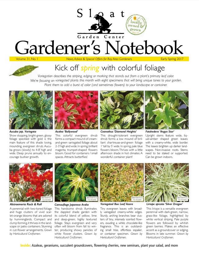 Gardener’s Notebook | Sloat Garden Center