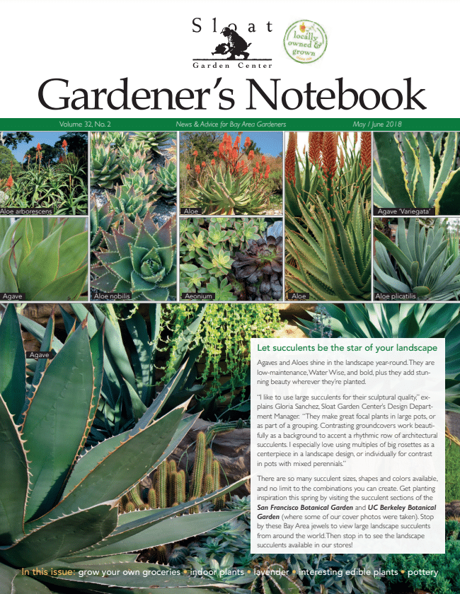 Gardener’s Notebook | Sloat Garden Center