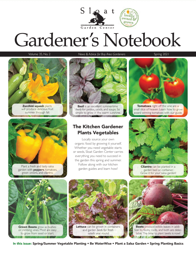 Gardener’s Notebook | Sloat Garden Center